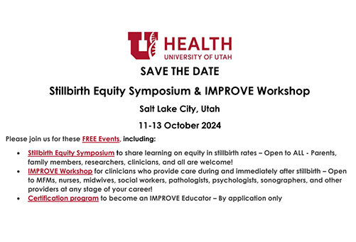 The International Stillbirth Alliance (ISA)